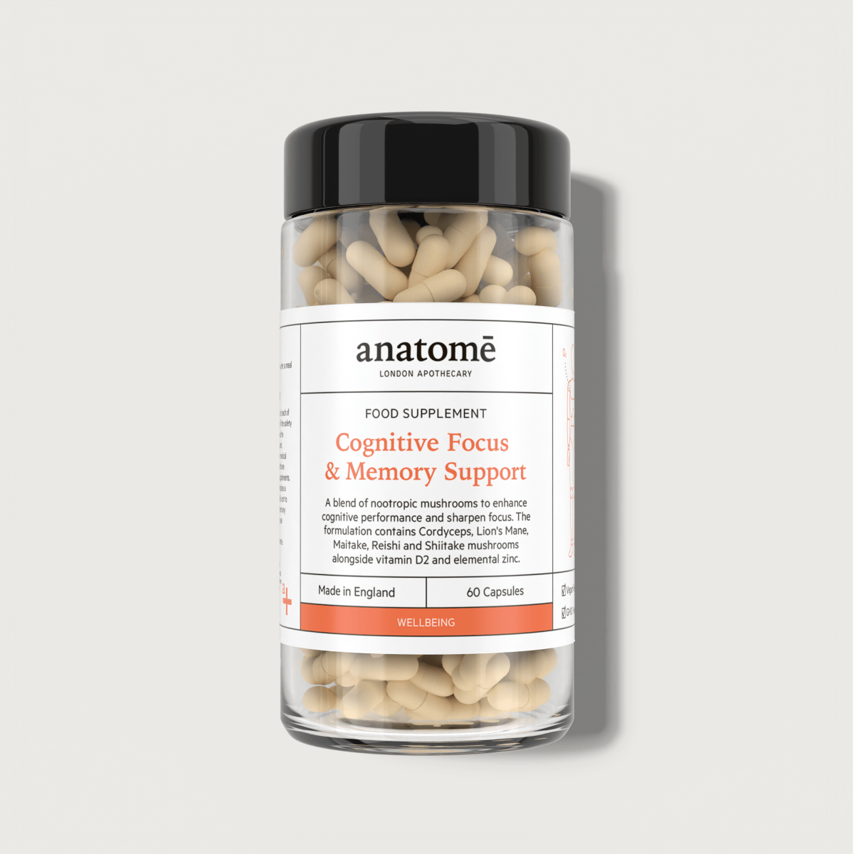 Anatomē - Cognitive Focus & Memory Support – Counter Culture Store